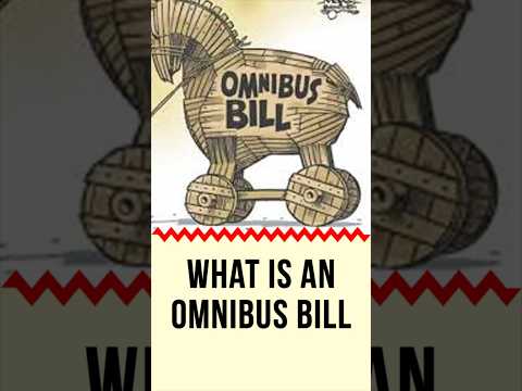 What is an omnibus bill? #omnibus #omnibusbill #omnibuslaw