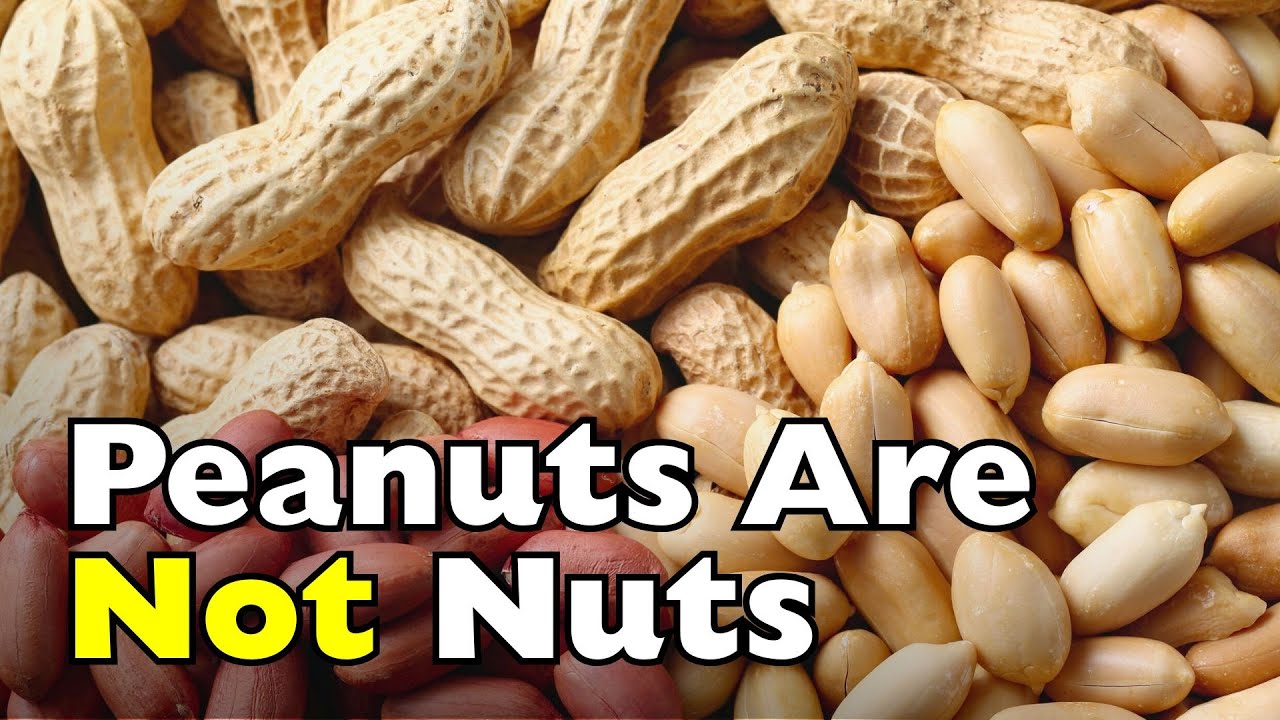 Peanuts Aren’t Actually Nuts!
