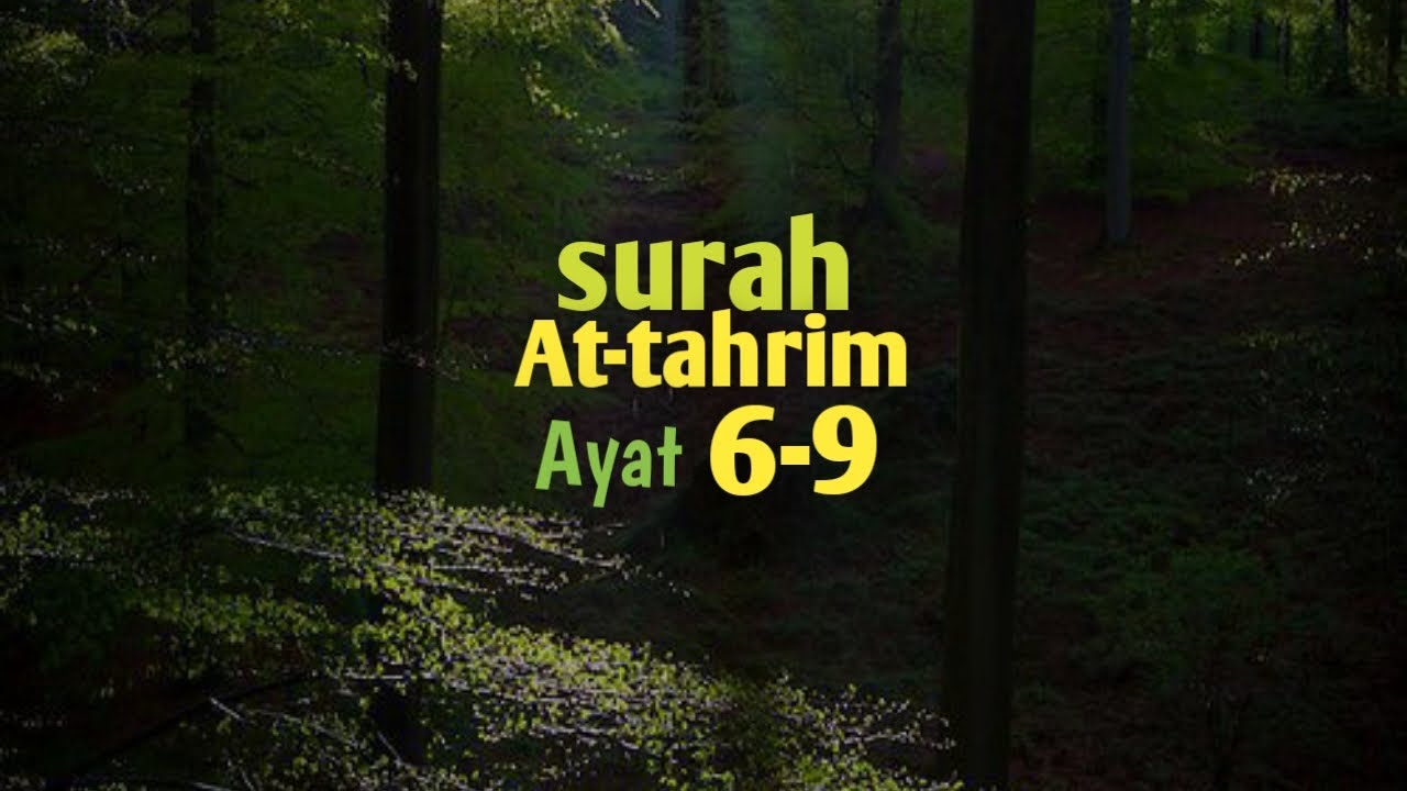 potongan ayat surah At tahrim ayat 6 9 abu usaamah Syamsul hadi