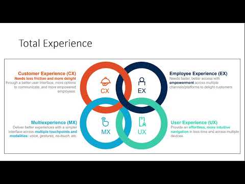 Total Experience Explained