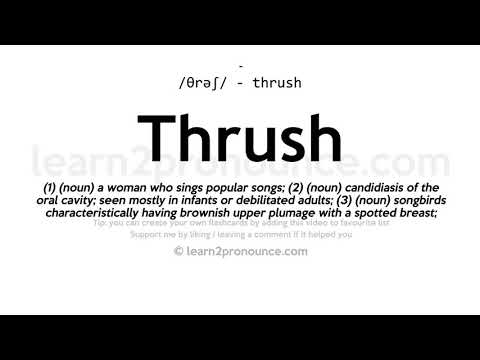 Thrush pronunciation and definition