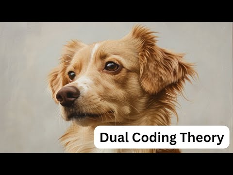 Day 224 - Dual Coding Theory