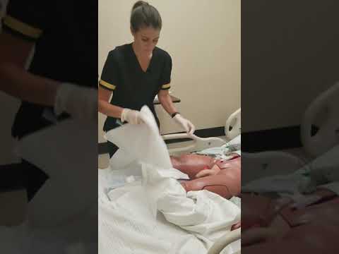 Foley catheter