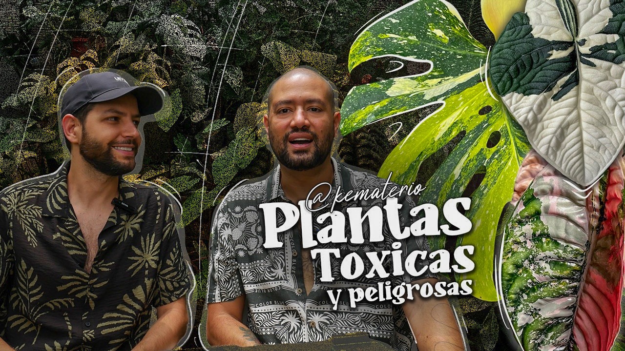 ✨ Las plantas MAS deseadas del 2026 Estas son las plantas que soñamos conseguir
