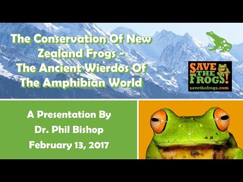 Dr. Phil Bishop: The Conservation Of New Zealand Frogs - The Ancient Wierdos Of The Amphibian World