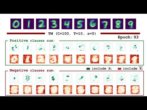 Tsetlin Machine: How Tsetlin Machine learns patterns from Data