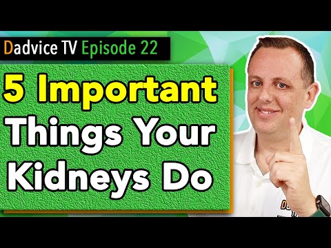 What kidneys do - Kidney function explained and why kidney failure is serious