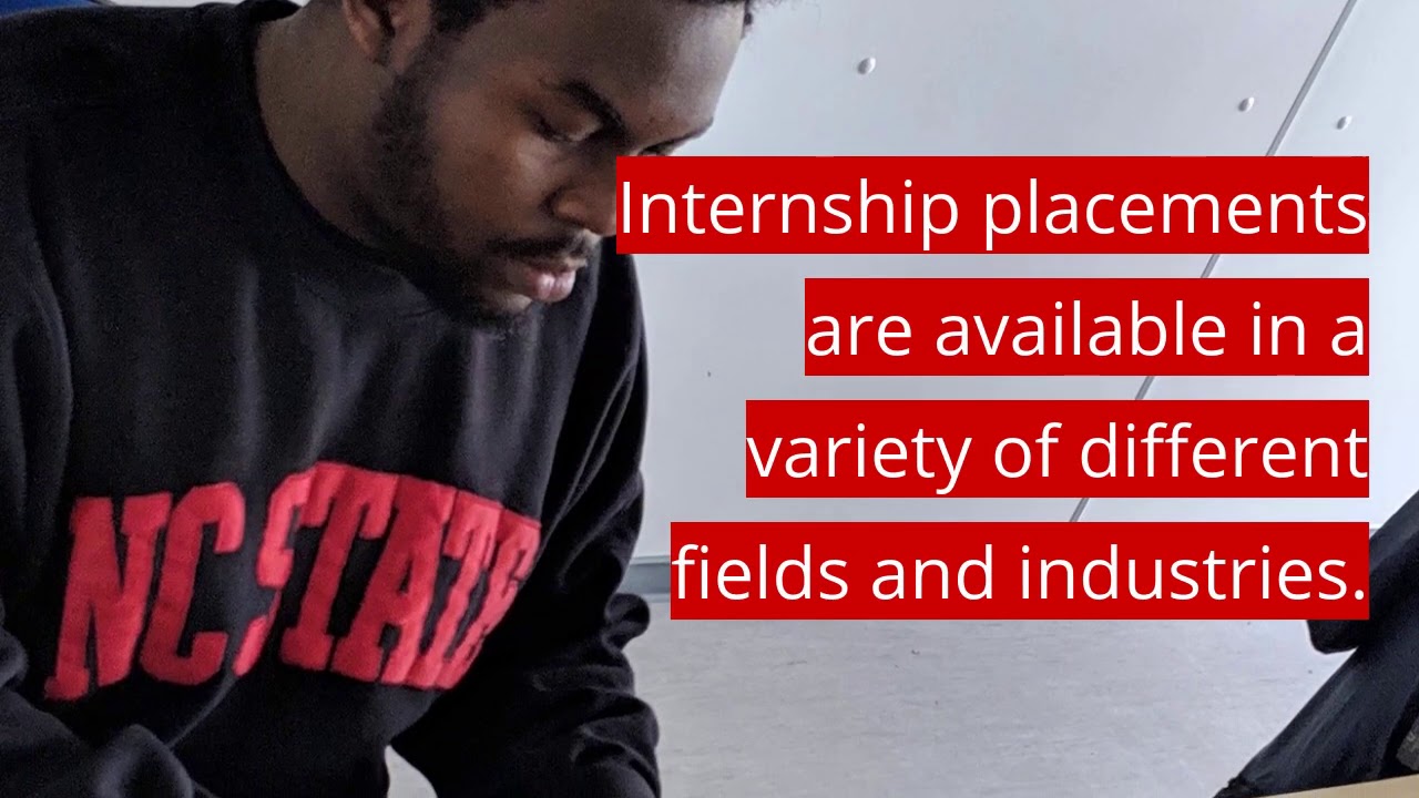 What are global virtual internships?