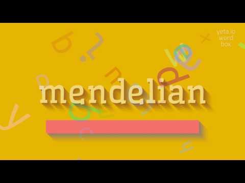 How to say "mendelian"! (High Quality Voices)