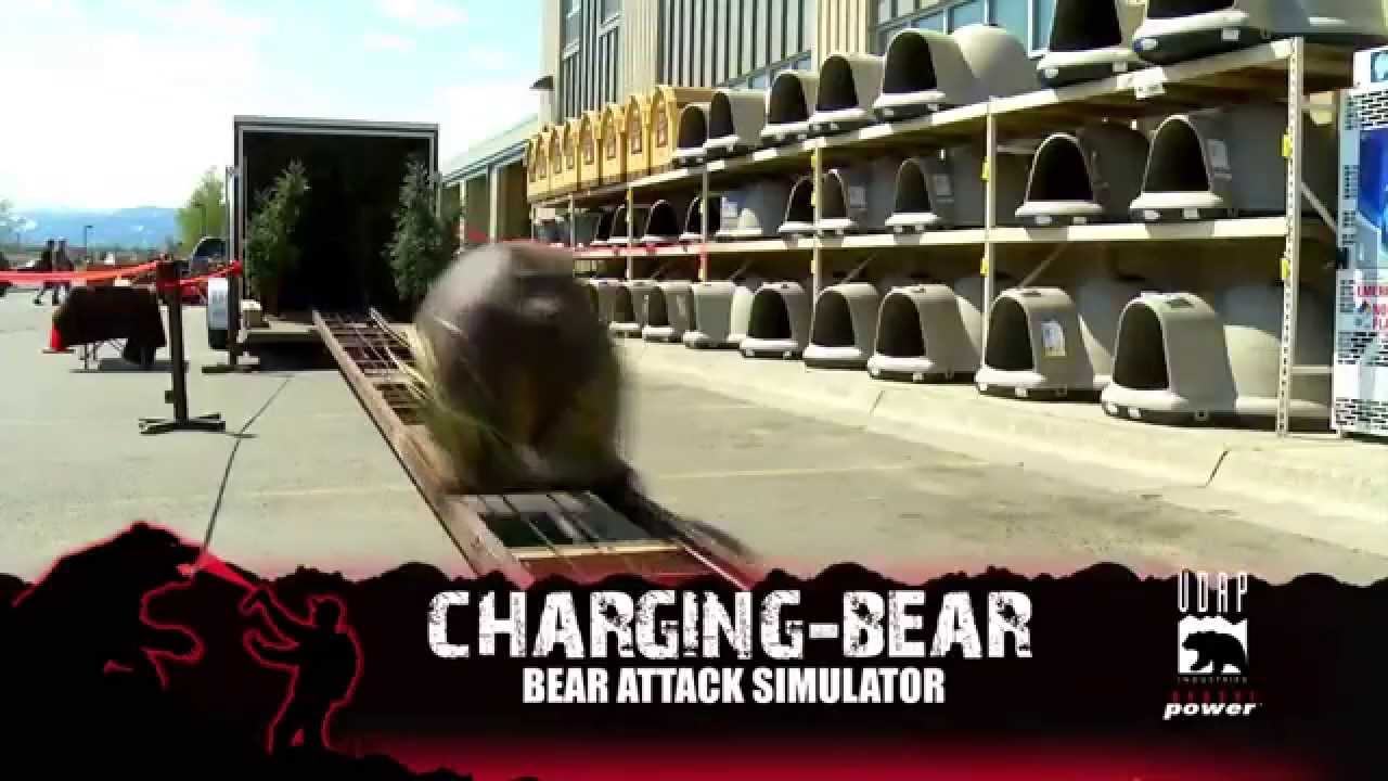 Charging Bear- Bear Attack Simulator from UDAP Bear Spray