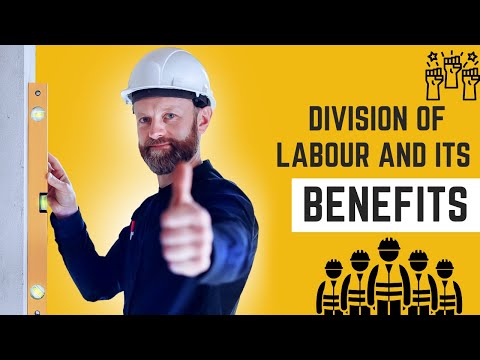 Division of labour and its benefits