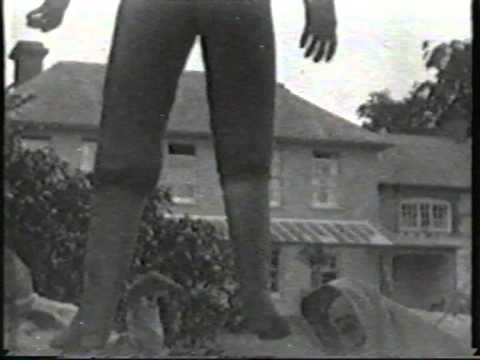 Ham Spray videos on YouTube | Blogging Woolf