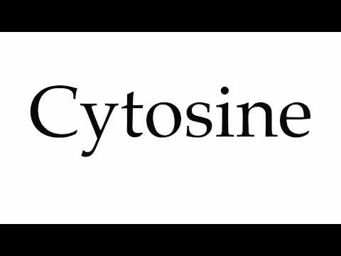 How to Pronounce Cytosine