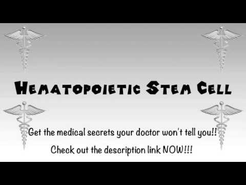 How to Pronounce Hematopoietic Stem Cell youtube original