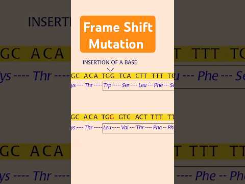 Frame Shift Mutation #mutation #dna #genetics #biotechreview
