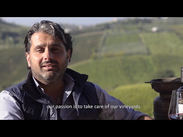 Winery - Il Conte Villa Prandone