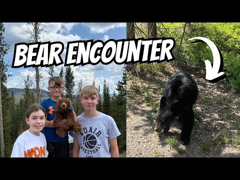Our Wild Family Roadtrip To The Tetons And Yellowstone!