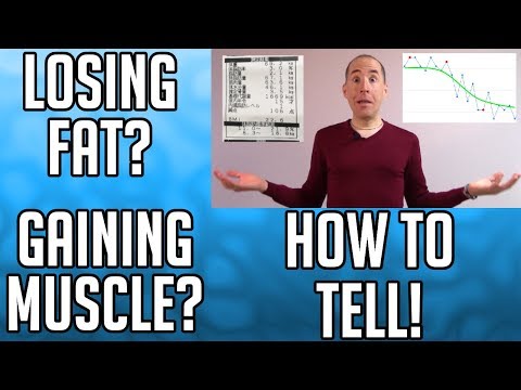 Losing Fat? Gaining Muscle? How to Track Your Diet | RippedBody.com Article Review