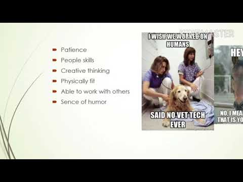Large Animal Veterinarian Career