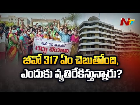 What is GO-317 And Why Telangana Govt Employees Opposing it ? | Special Report | Ntv