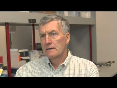 Erkki Ruoslahti, M.D., Ph.D.