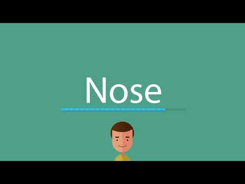 How to pronounce Nose