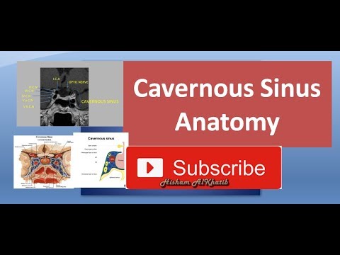 Cavernous Sinus Anatomy