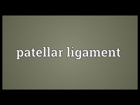 Patellar ligament Meaning