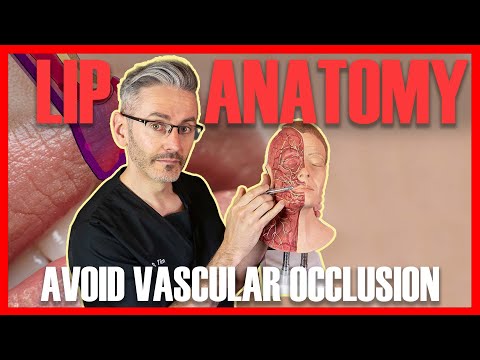 3D LIP ANATOMY: Exactly where are the labial arteries & how to avoid them? [Aesthetics Mastery Show]