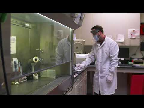 Drive Thru COVID and Antibody Testing is Available for ANMC Patients