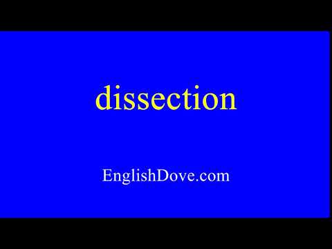How to pronounce dissection in American English.