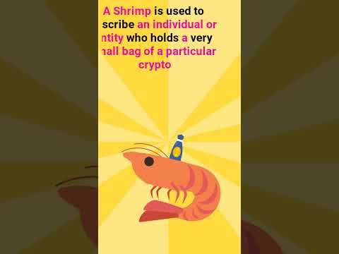 What is a Shrimp?