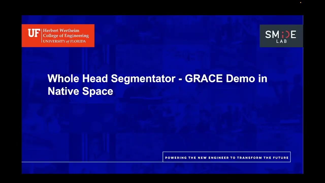 Whole-Head MRI Segmentator: GRACE in Native Space