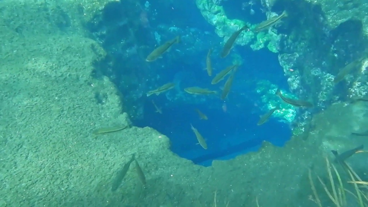 Ichetucknee River Oct 2019