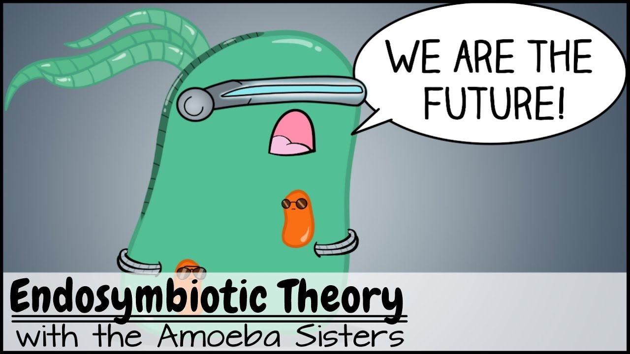 Endosymbiotic Theory
