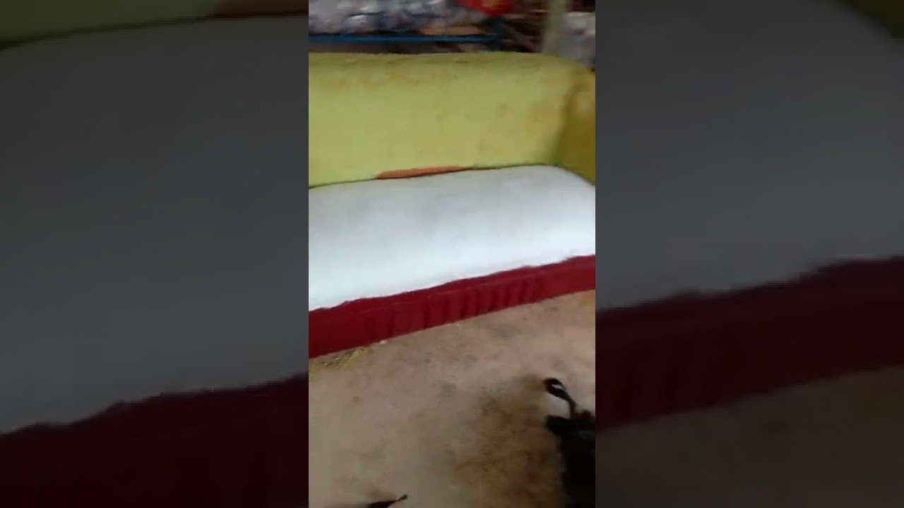 menerima jasa servis kursi sofa&jati ukiran..berbagai jenis bahan..DITEMPAT.  Hub.088220337495