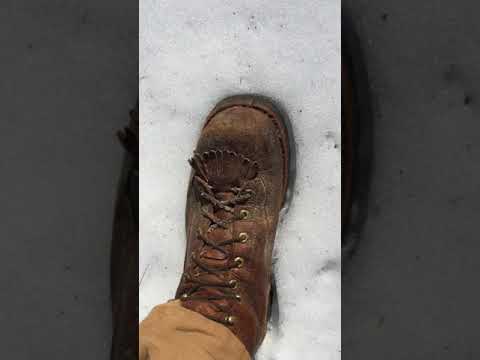 Chippewa Logger Boots