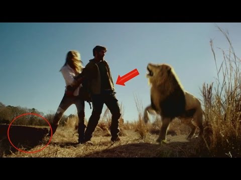 ZOO Movie Mistakes, Bloopers, Spoiler, Goofs, Facts and Fails You Missed