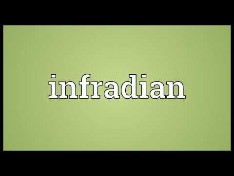 Infradian Meaning