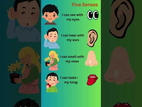 What are the 5 Senses | Five sense organs| Five Senses with examples