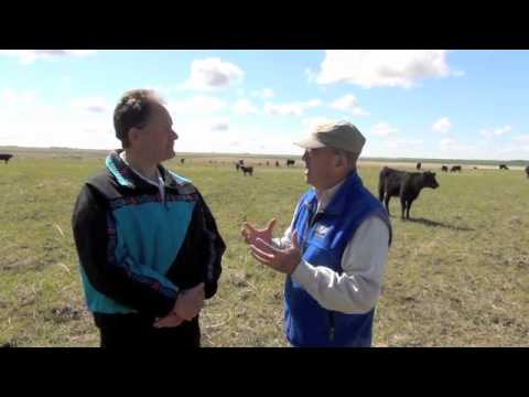 Tabeguache Steakhouse visits Callicrate Cattle Co.