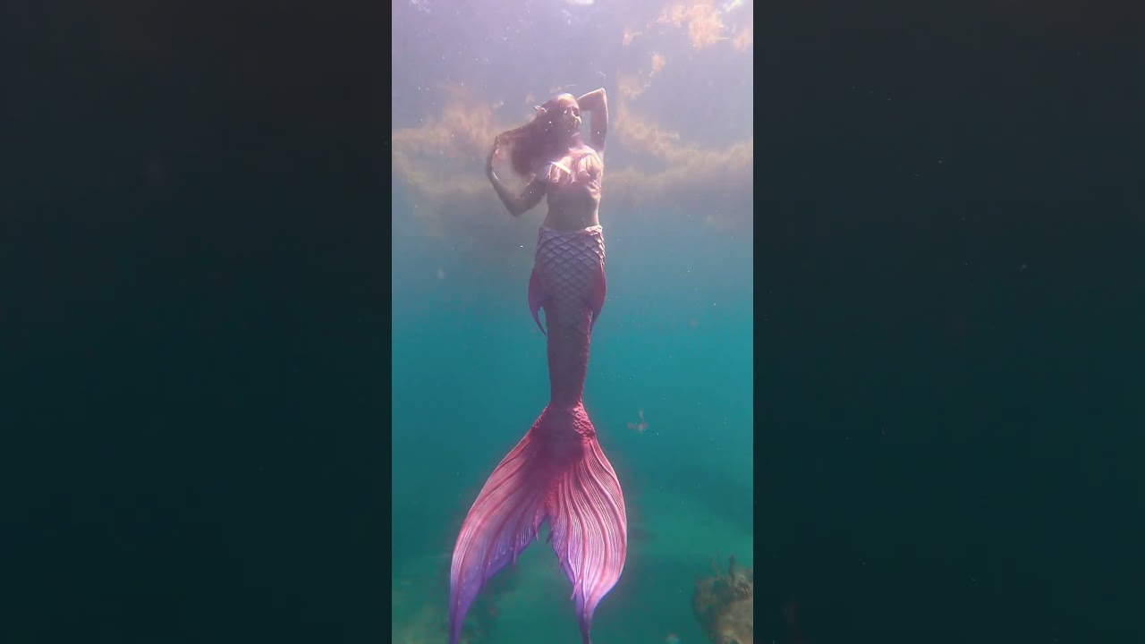 In the ocean, real mermaids are waiting for you! 🧜🏼‍♀️ #mermaid #h2o #florida #underwater #gopro