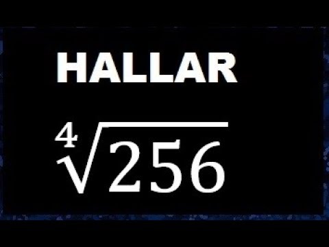 Raiz cuarta de 256 resultado