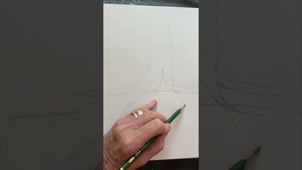 Drawing a Tree With Root System Beneath The Ground