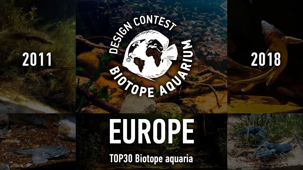Best Biotope Aquaria. Europe. TOP30 #BADC