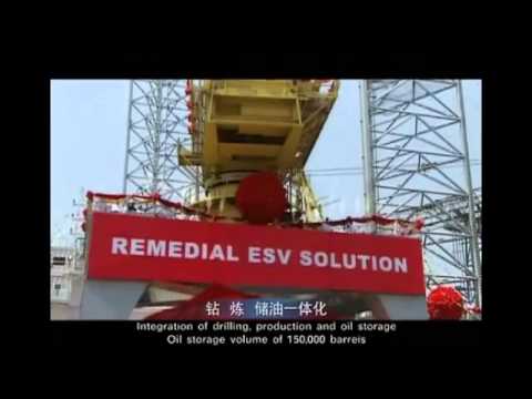 China Ocean Shipping (Group) Company (COSCO) 2010-EN-V1.0