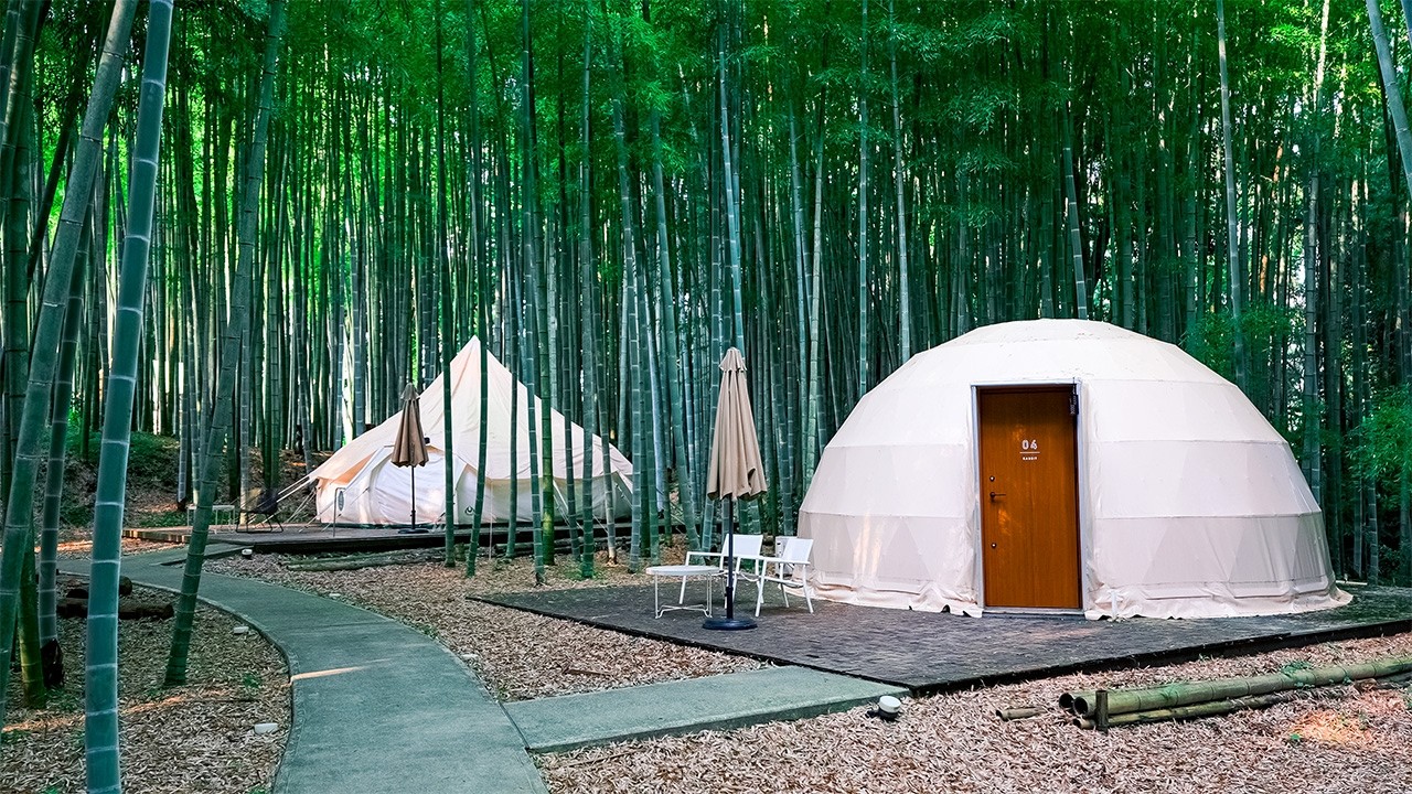 Glamping in Japan with a Bamboo Grove and Free-Roaming Animals | THE BAMBOO FOREST
