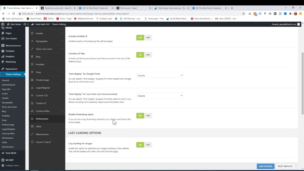 Theme Settings Performance Maintenance import export