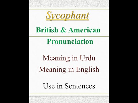 Sycophant meaning: english difficult words: #shorts