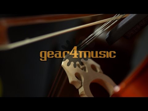 Student 4/4 Size Cello with Case by Gear4music